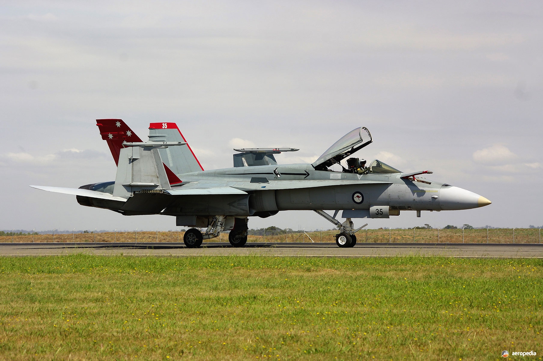 Mcdonel Douglas Fa-18 Hornet · The Encyclopedia of Aircraft David C.