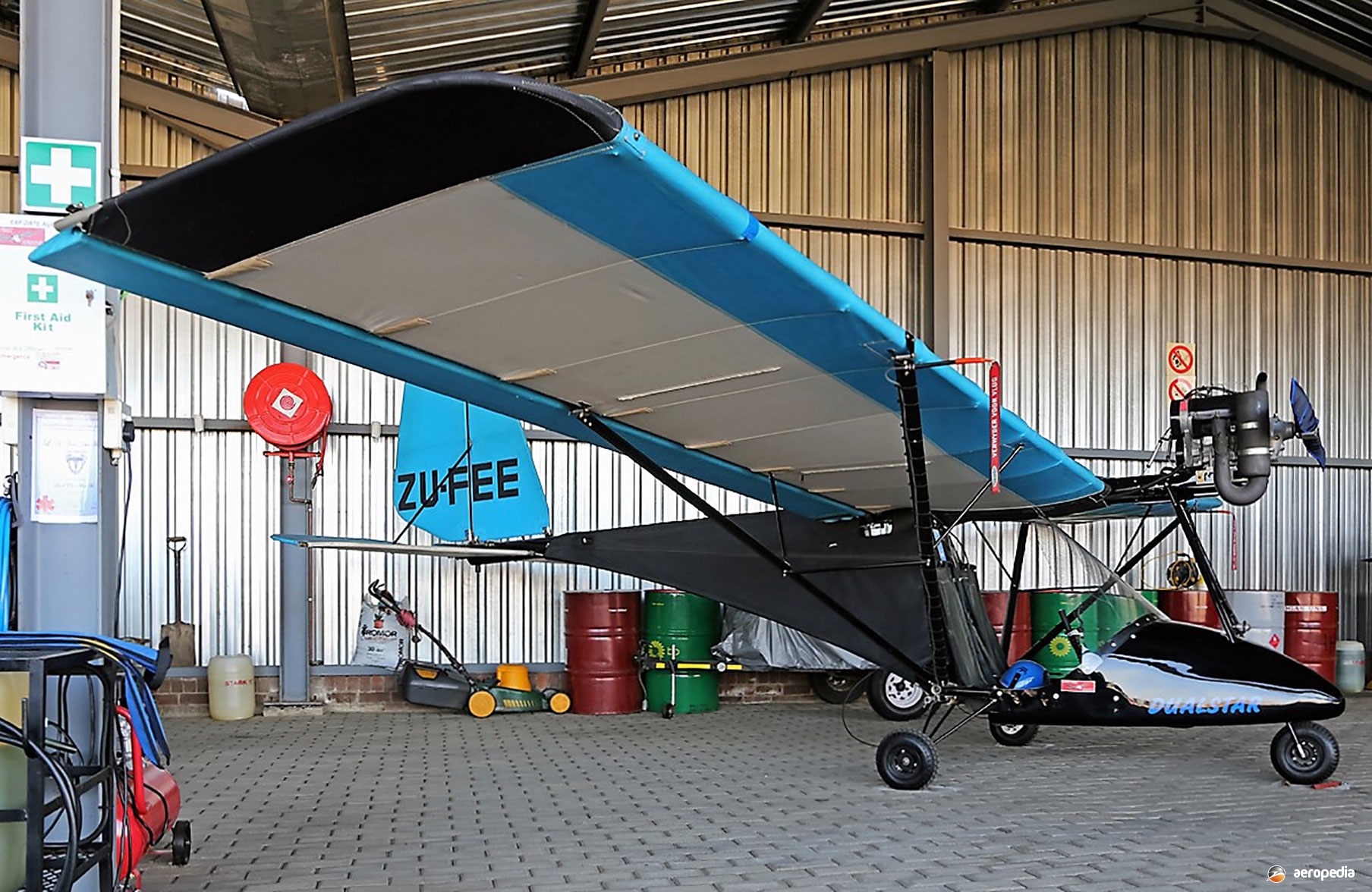 Pioneer International Aircraft Dual Star · The Encyclopedia of Aircraft ...